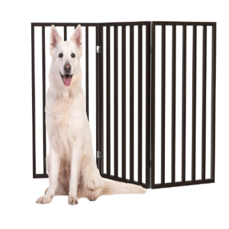 18 Creative Dog Fence Ideas You Need to Know - TheHomeShare
